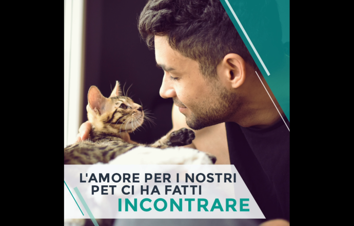 Vet Recovery Animazione Gif Post 3 - MSD Animal Health Italia