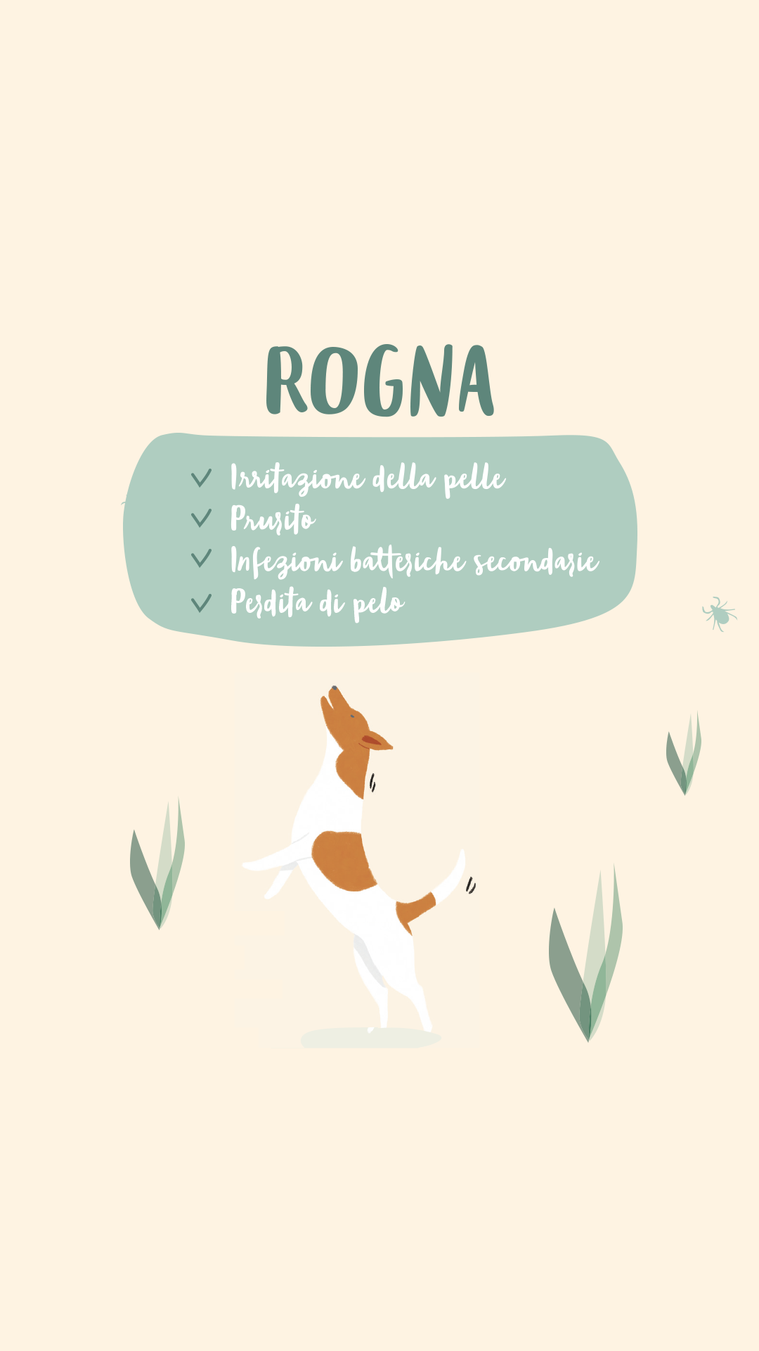 Rogna - Instagram Carousel 1 - MSD Animal Health Italia